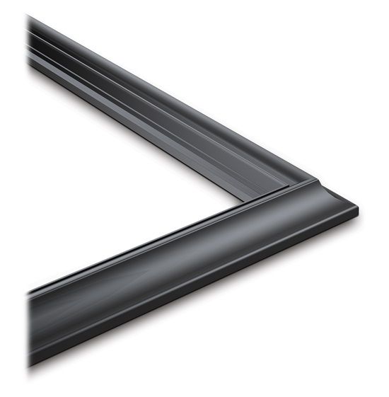 Testrite Visual | Charisma SEG Picture Frame™