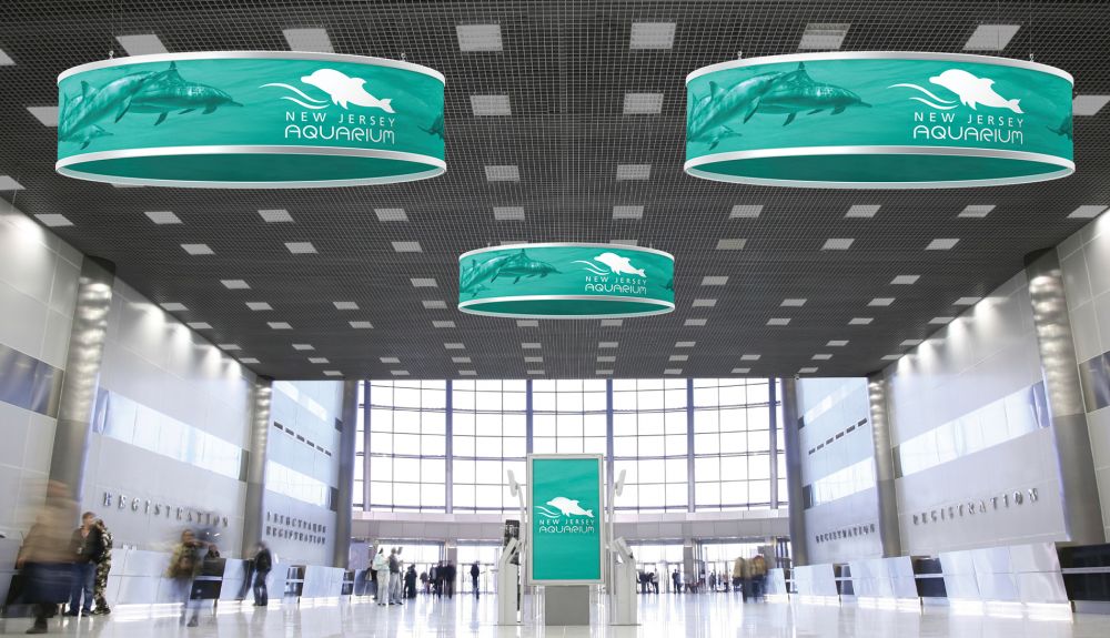 Testrite Visual | Halo Rails™