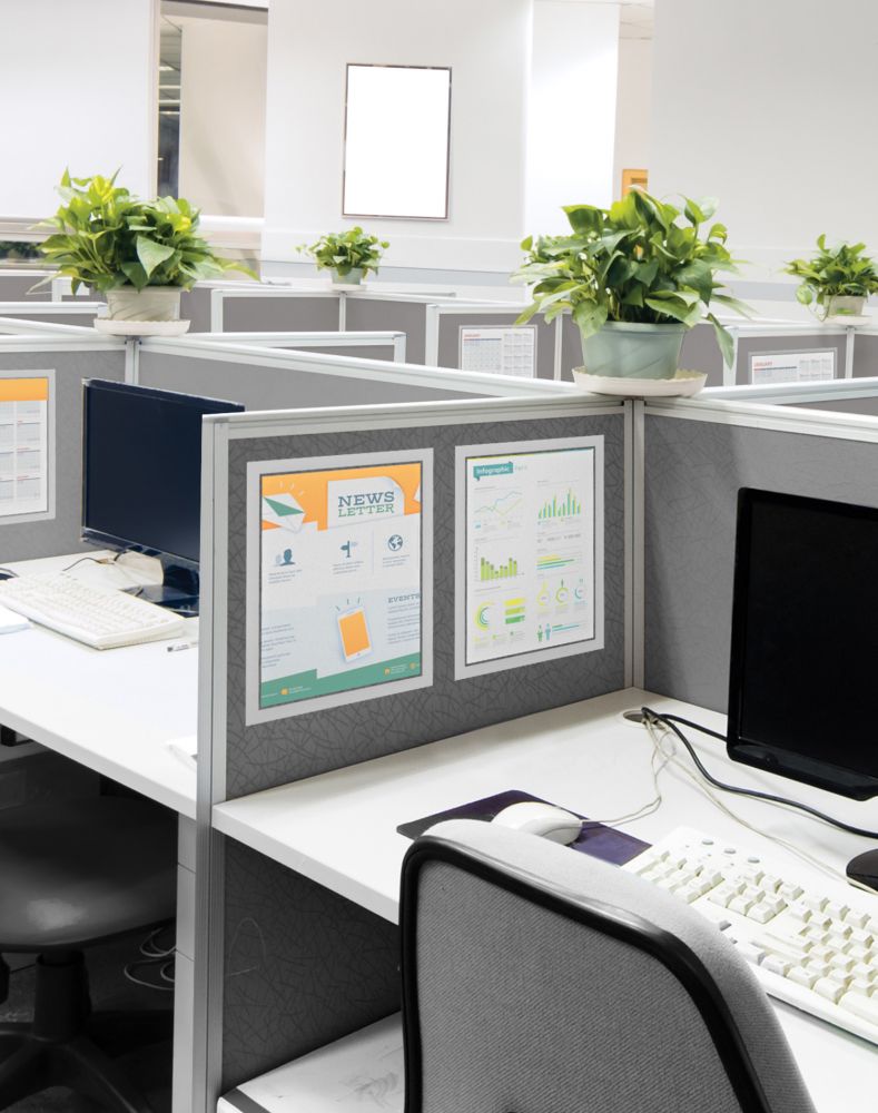 Testrite Visual | SeeWell Info Frames