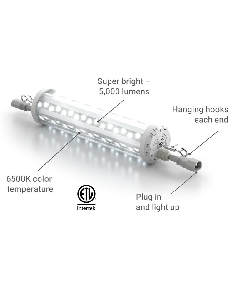 Testrite Visual | Cascade LED Lights™