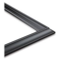 Testrite Visual | Charisma SEG Picture Frame™