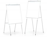 Testrite Visual | Portable Presentation Easels